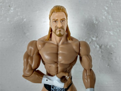 Triple H Talking HHH WWE Wrestler Action Figure 2010 | eBay