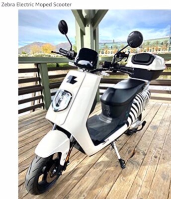 Zebra Electric Scooter up to 35MPH 40 Mile Range w/Rear Storage | eBay
