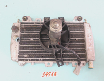 Piaggio X9 Evolution Radiator | eBay