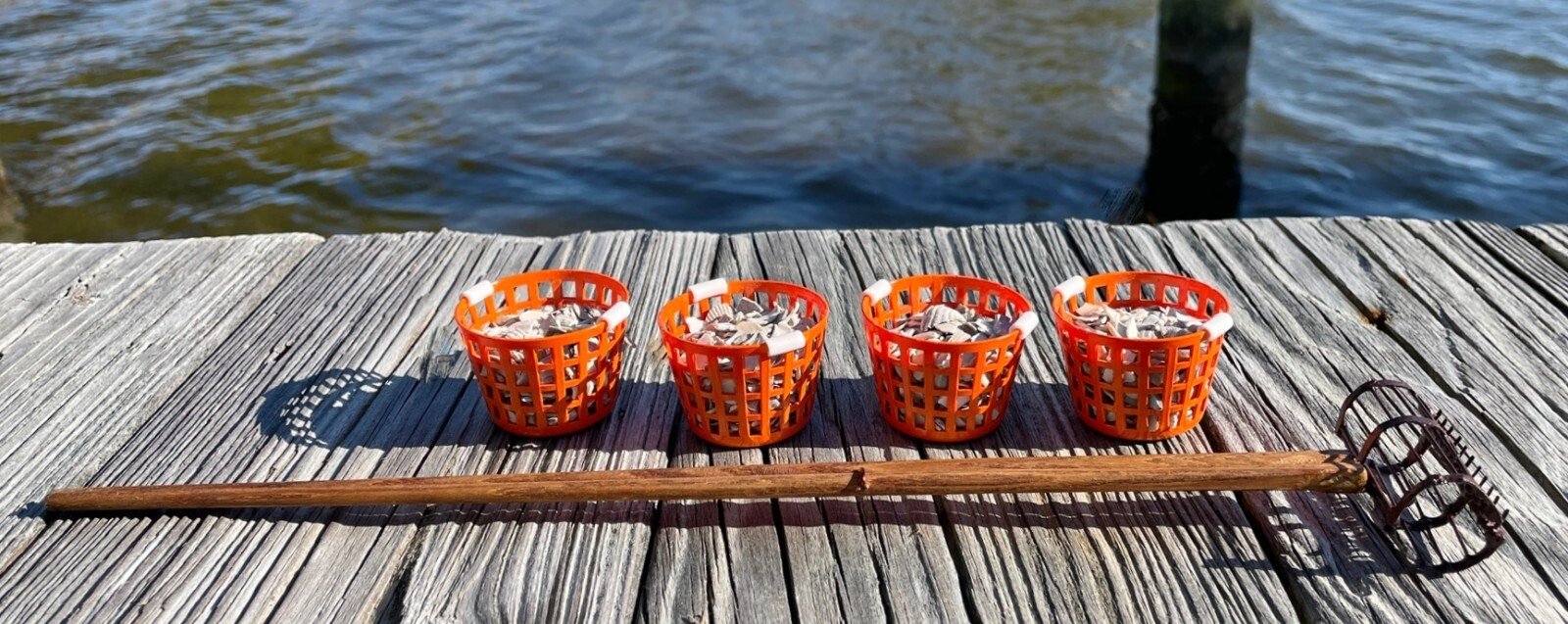 MINIATURE OYSTER TONGS, HAND TONGS, 13 IN. LONG, NAUTICAL ACCESSORY, 1: ...