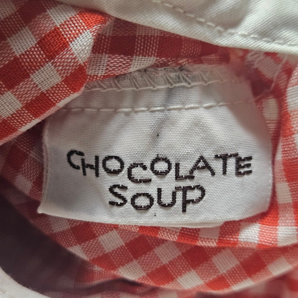 Vintage Chocolate Soup Spider Web Ladybug Embroidered Gingham Chambray ...