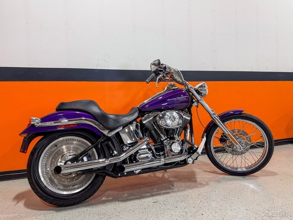 2002 Harley-Davidson Softail Custom Softail Concord Purple FXST | eBay