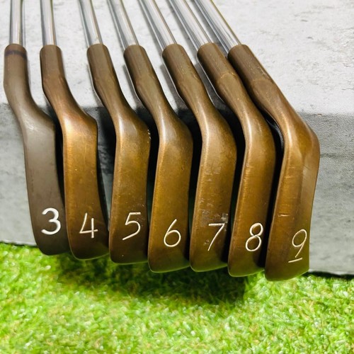 PING Iron Set EYE2 Beryllium Copper 3.4.5.6.7.8.9 Genuine Steel Shaft ...