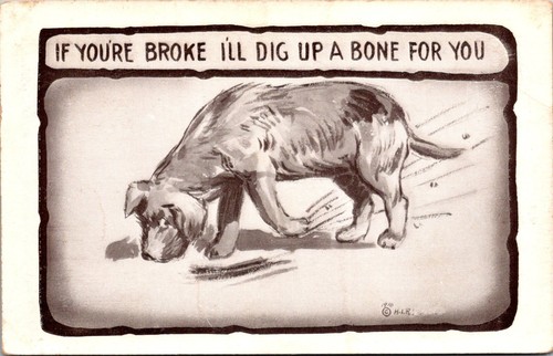 If Your Broke I'll Dig Up a Bone for You!! Humorous Postcard | eBay