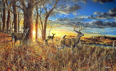 Out For the Evening By Jim Hansel Deer Buck Print Signed and Numbered ...