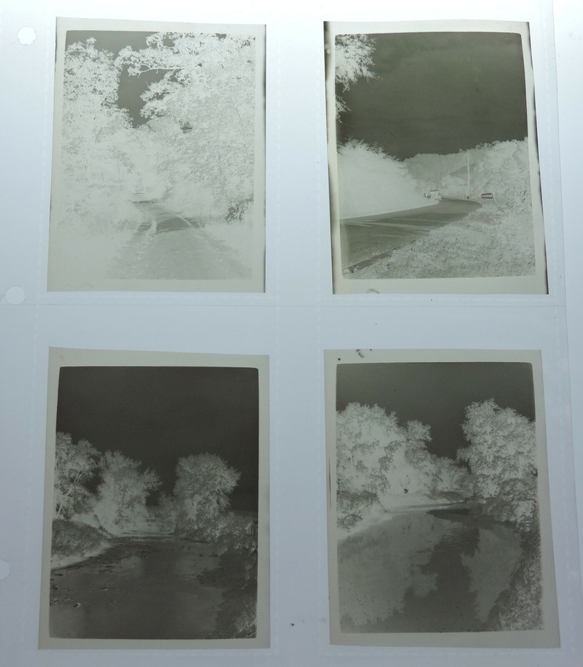 4X5 NEGATIVES & CONTACT SHEET | eBay