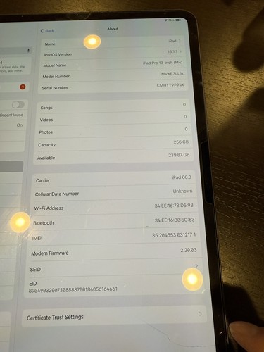 Apple Ipad Pro 13 Inch M4 Standard Wifi Cellular 256gb Silver