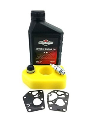 Briggs and Stratton Lawn Mower Service Kit Suitable for the Classic and ...