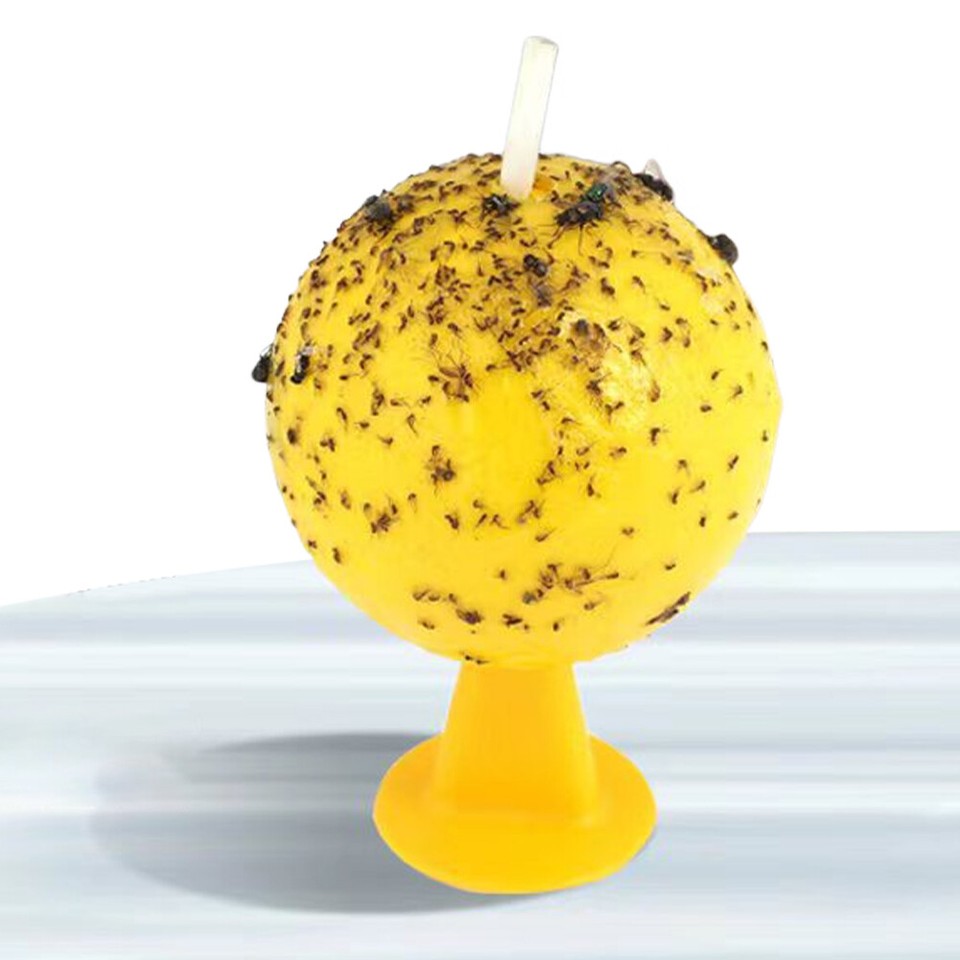 Fruit Fly Trap Flying Insects Trap Ball Sticky Ball Fly Trap for Home ...