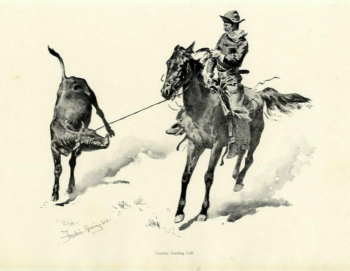 Calf Roping Drawings Bob Hills Calf Roping Art