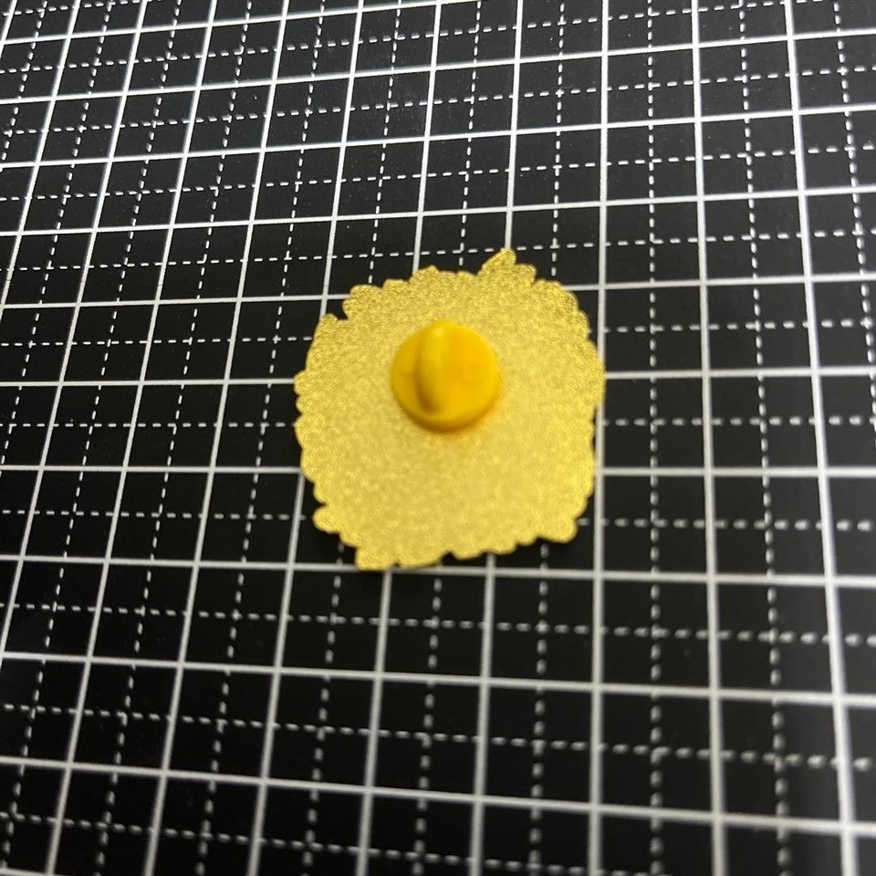 Pokemon Fire Type Charmander Cyndaquil Fuecoco Pin Badges Set Used | eBay