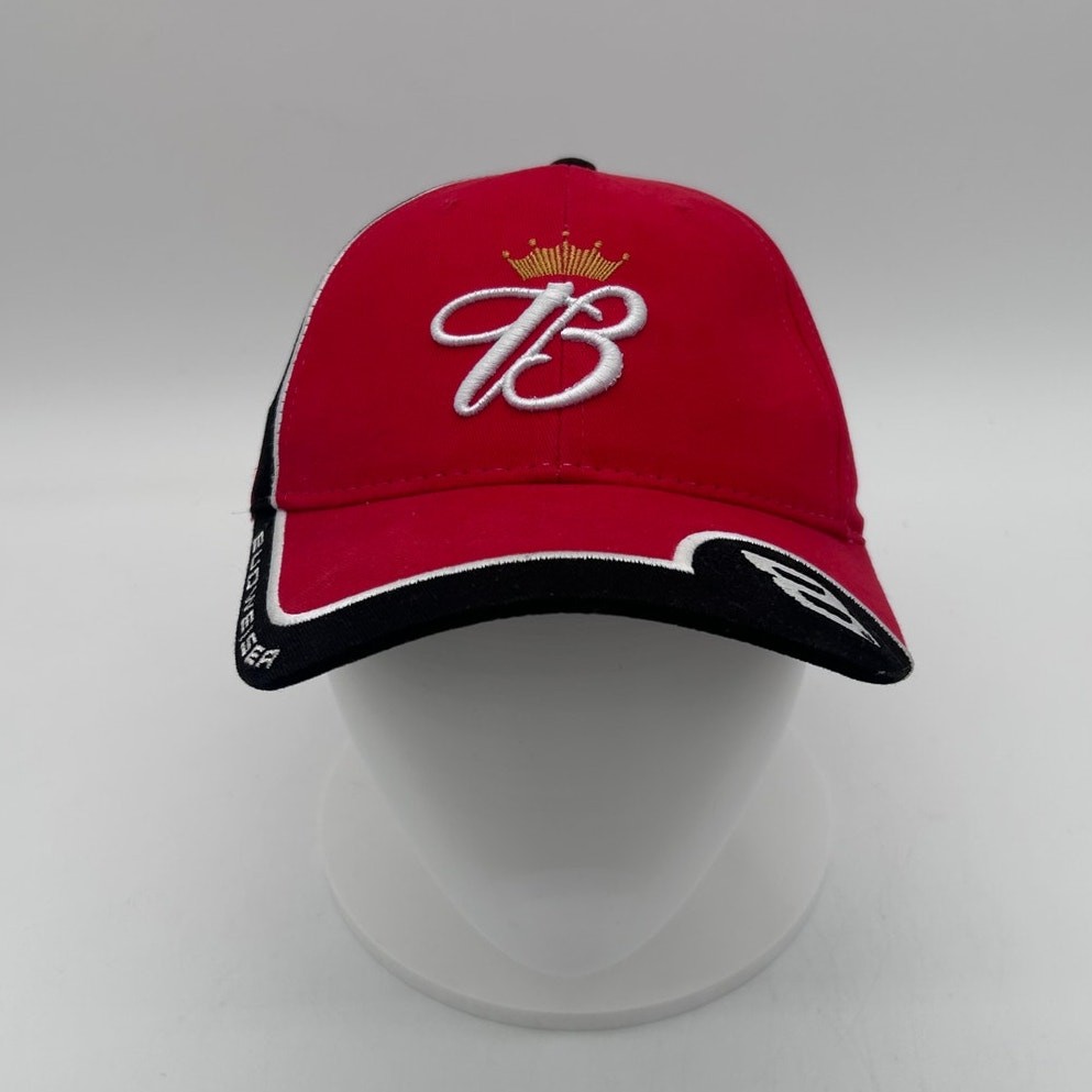 Vintage Budweiser Dale Earnhardt Jr NASCAR Fitted Hat… - Gem