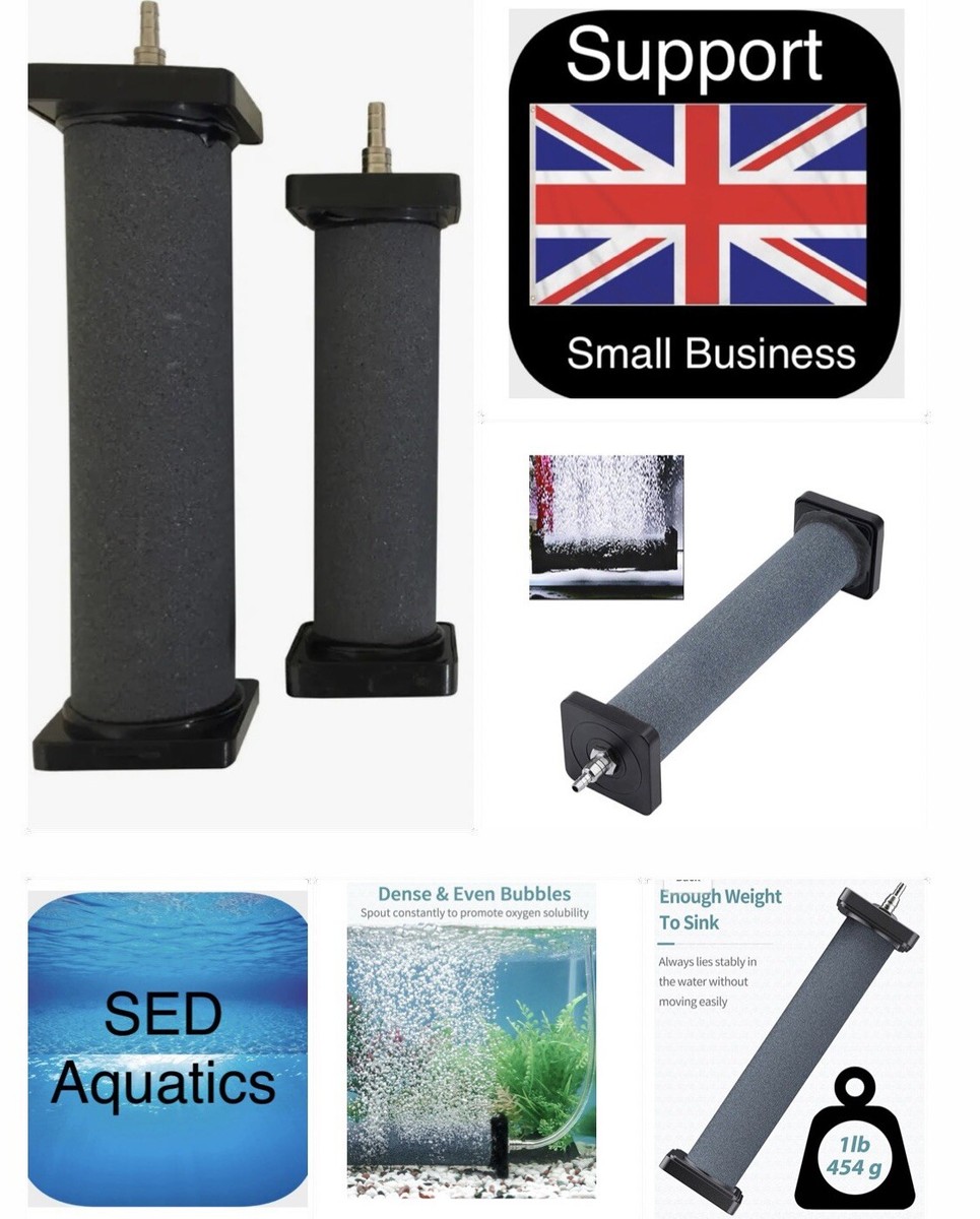 Koipond Related Keywords Amp Amp PAIR TWO Sonic Imagery Labs