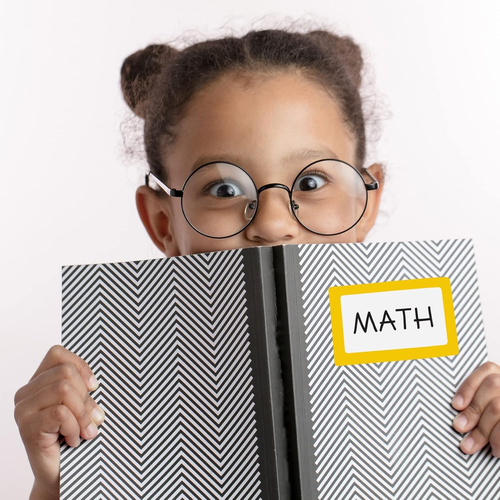 500Pcs Name Tag Stickers, 3.5" X 2.25", 5 Colors, Plain Labels ...