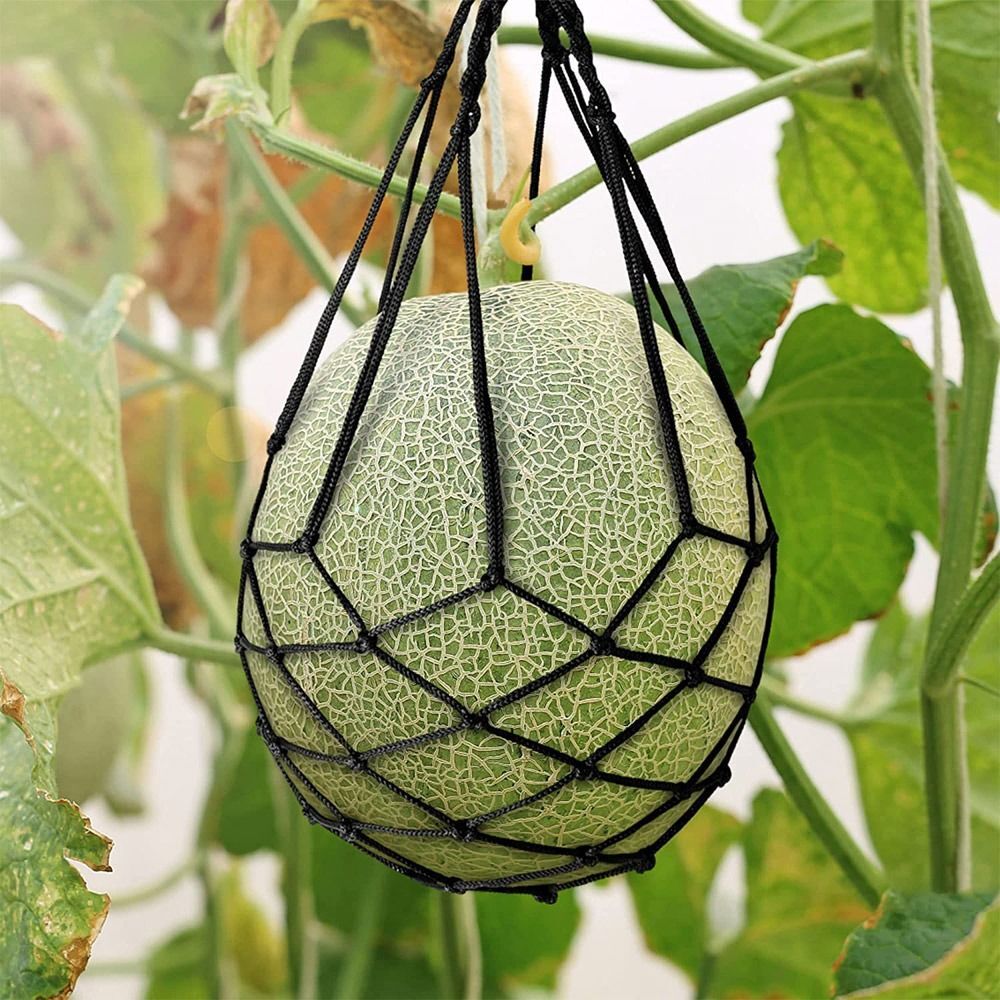 Stand Garden Holder Pumpkin Support Melon Hammock Watermelon Nets Melon Cradle | eBay Australia