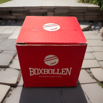 BoxBollen Boxball Reflex Punching Ball Fitness Game w Headband & QR ...