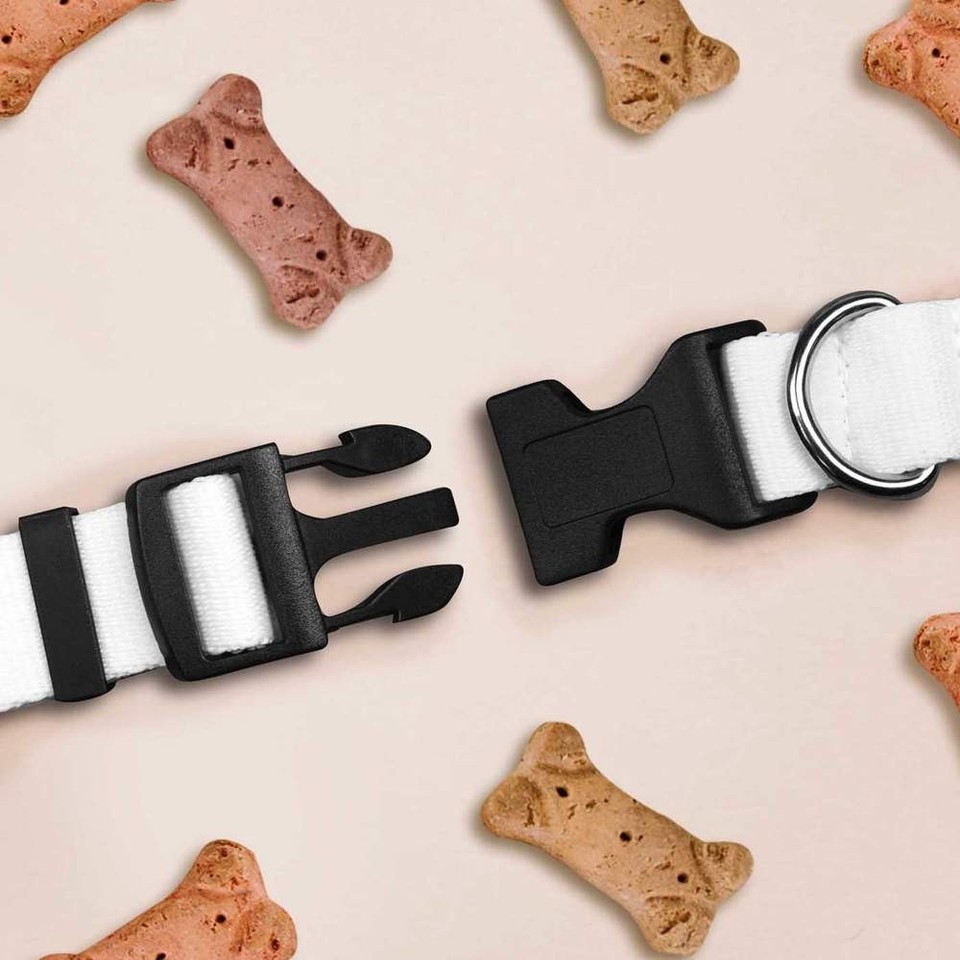 'Labradoodle' Dog Collars (PR028063) | eBay UK