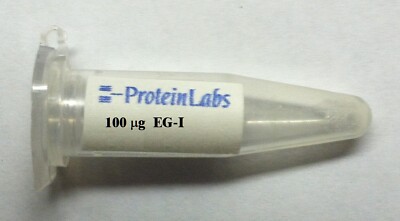 Purified Cellulase EG-I (Endoglucanase) from Celluclast (Trichoderma ...