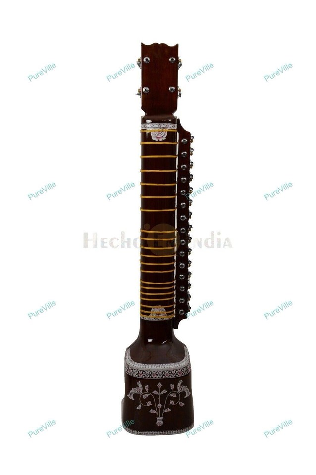 New Professional Classical Indian Musical String Instrument Dilruba ...