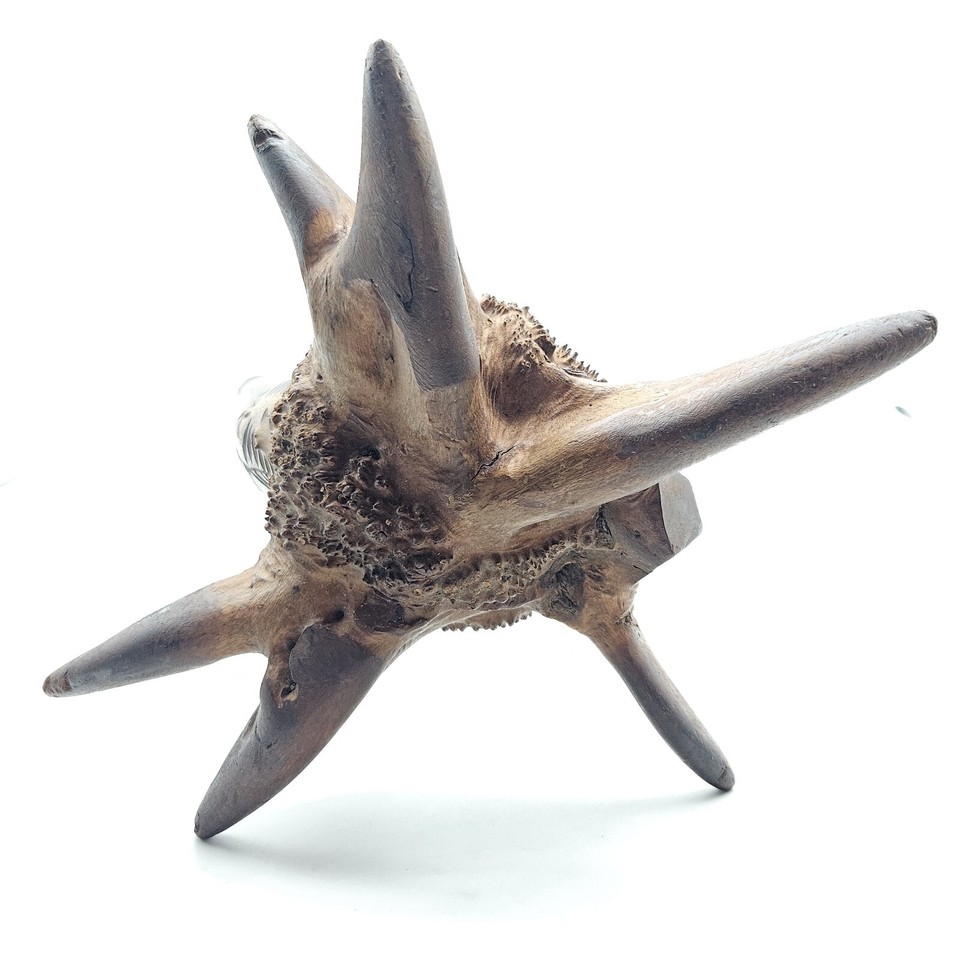 Native American Penobscot Tribe Wood Root Club Antique Late 1800s ...