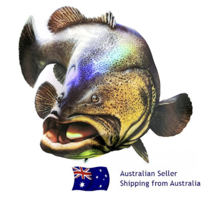 Reflective Murray Cod Decal 20cm x 17cm Esky Boat Car Fish Sticker ...