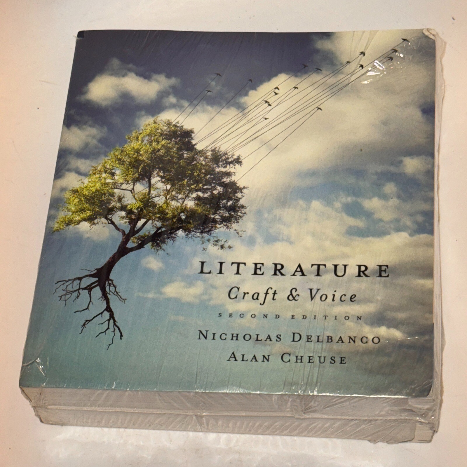 Literature : Craft and Voice by Alan Cheuse and Nicholas Delbanco (2012 ...