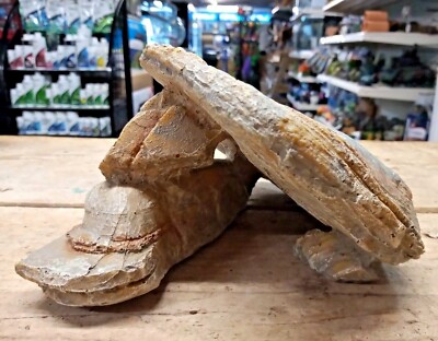 Natural Rock Effect Fallen Arch Swim Thru Cave Aquarium Fish Tank ...