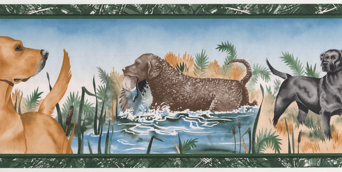 Duck Hunting Dog Wallpaper