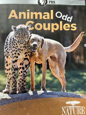 Nature: Animal Odd Couples (DVD) 841887018180| eBay