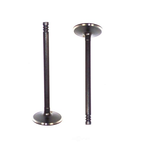 Engine Intake Valve-VIN: G, SOHC, 24 Valves DNJ IV143 | eBay