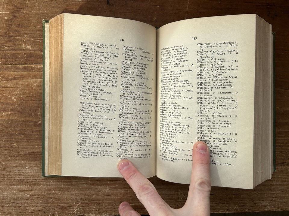 Irish Names and Surnames (Sloinnte Gaelheal Is Gall) by Patrick Woulfe ...