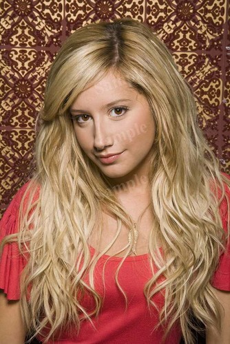 Celebrity Photos Posters Ashley Tisdale Glossy Premium Photo - CL2021 ...