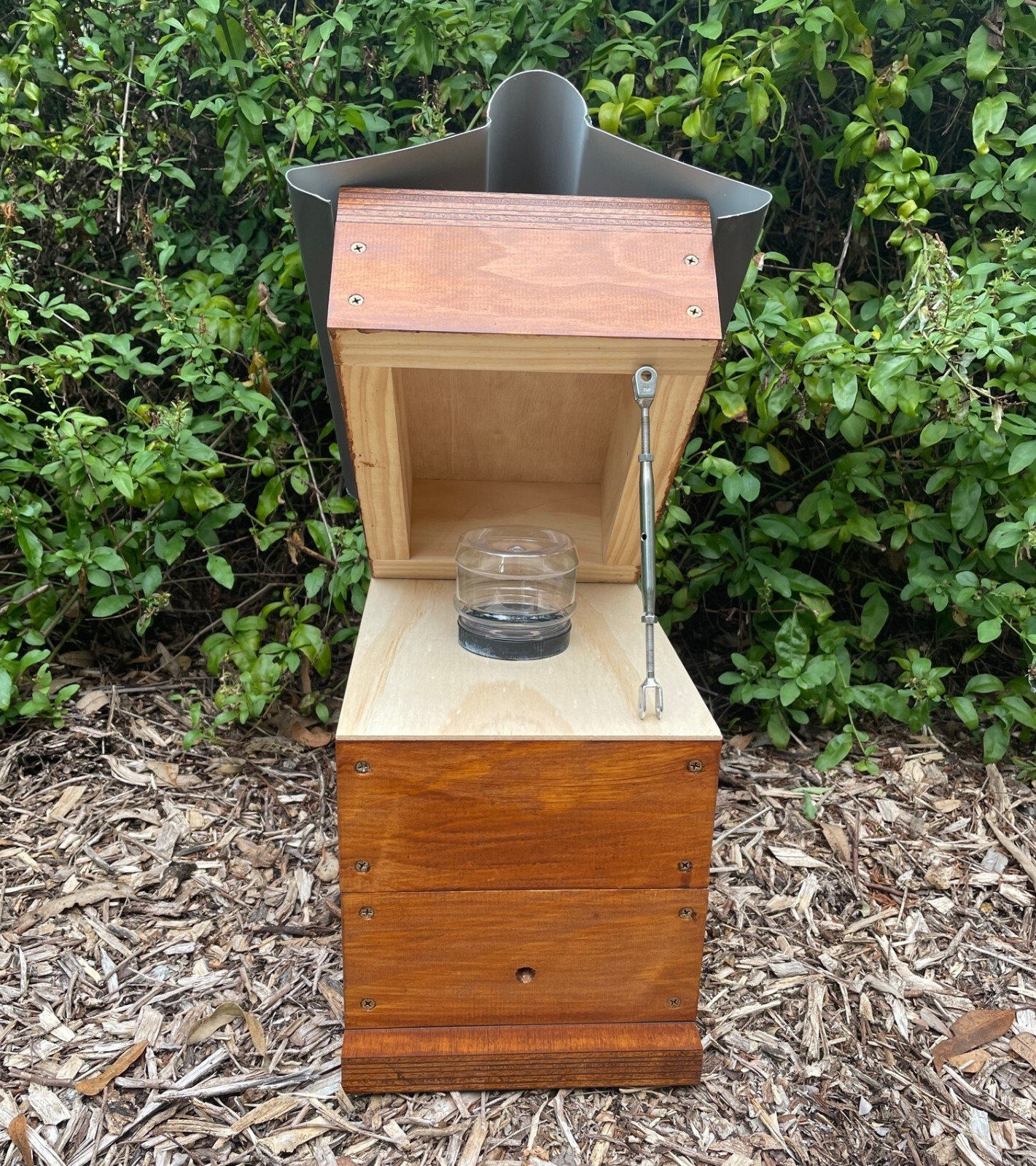 Honey Jar Stained Hoop Pine Native Beehive OATH Box Stingless ...