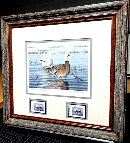 John Dearman 2001 Texas Waterfowl Duck Stamp Print W Double Stamps AP ...
