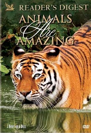 ANIMALS ARE AMAZING (READER'S DIGEST) 6-DISCS ***BRAND NEW ...