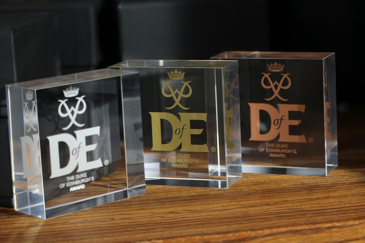 Silver Dofe Logo Duke Of Edinburgh's Award Bronze / Silver / Gold.