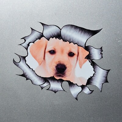 Cute Golden Labrador Puppy Dog Ripped Open Metal Vinyl Sticker Decal ...