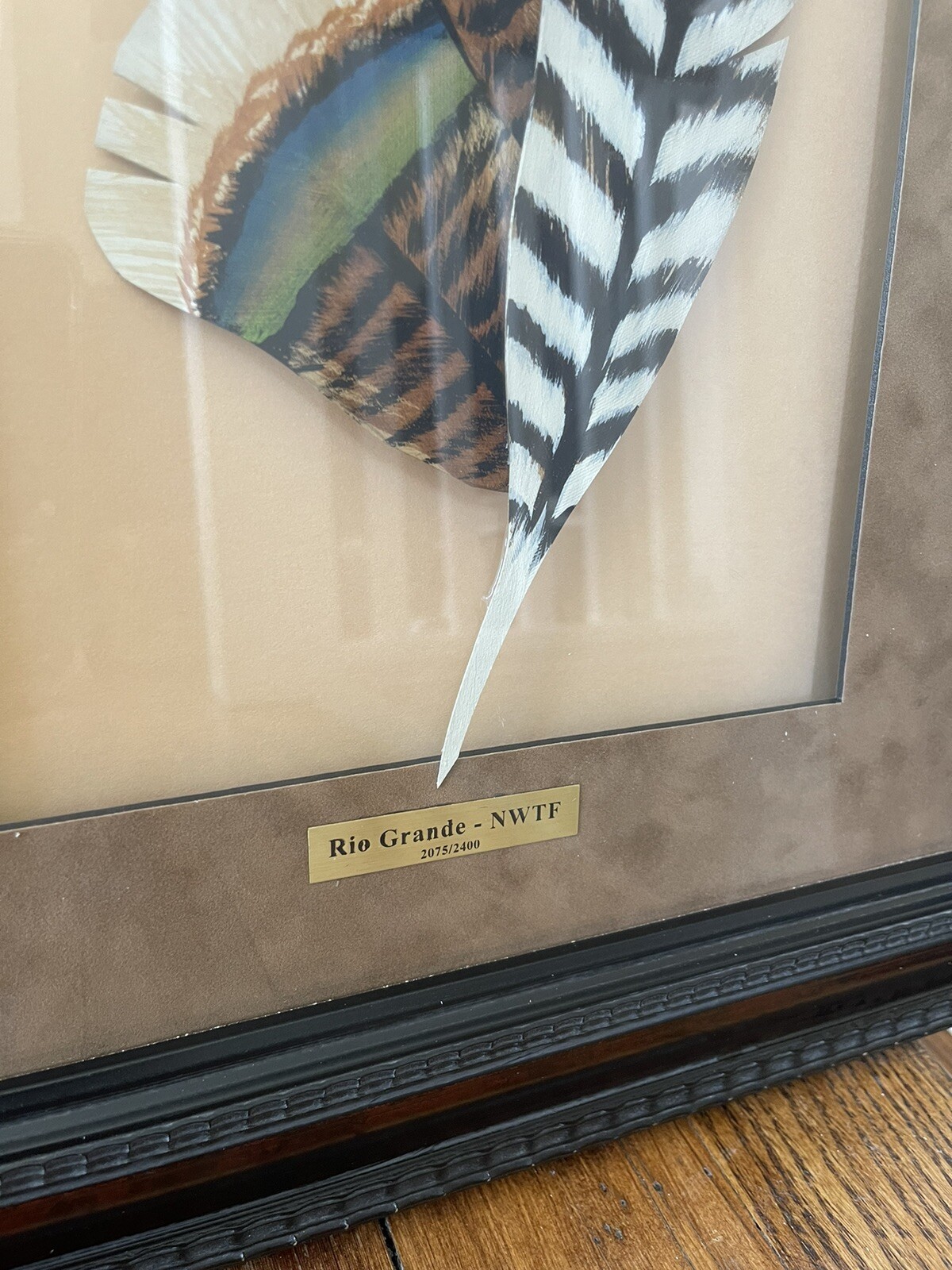 NWTF Framed Hand Carved Turkey Feather Print Art Work Rio Grande 2075/ ...