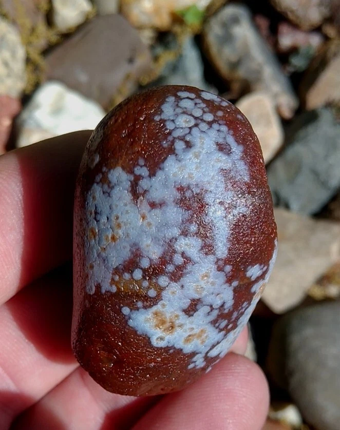 Lake Superior Eye Agates