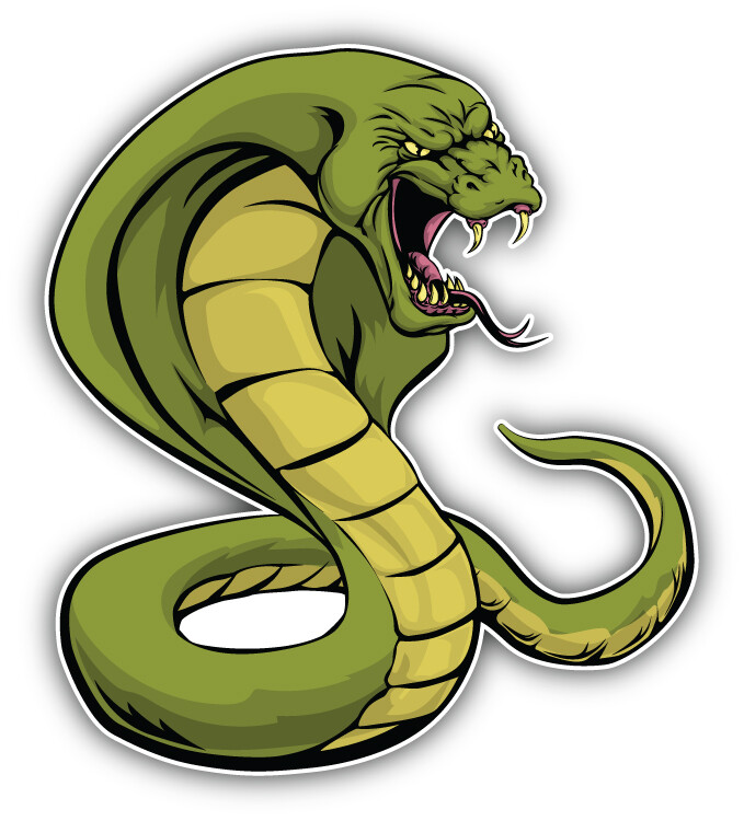 Angry Cartoon Snake