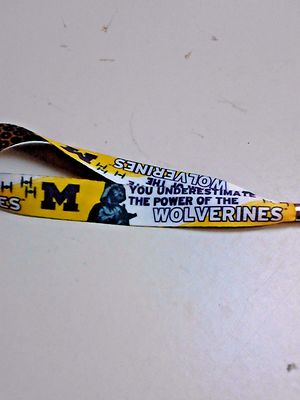 NCAA MICHIGAN WOLVERINES / STAR WARS KEY STRAP WRIST LANYARD KEY CHAIN ...