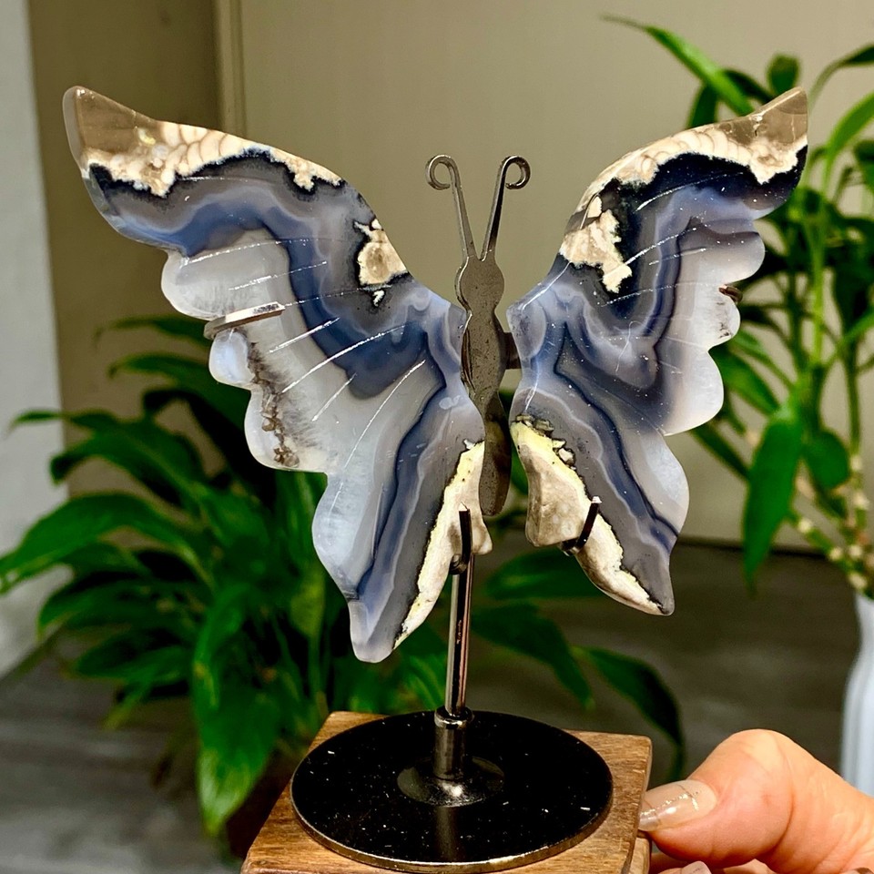 79G Natural volcanic rock agate butterfly crystal mineral carving | eBay UK