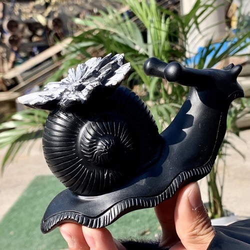 1.53LB Natural chrysanthemum stone quartz carved snail aura healing ...