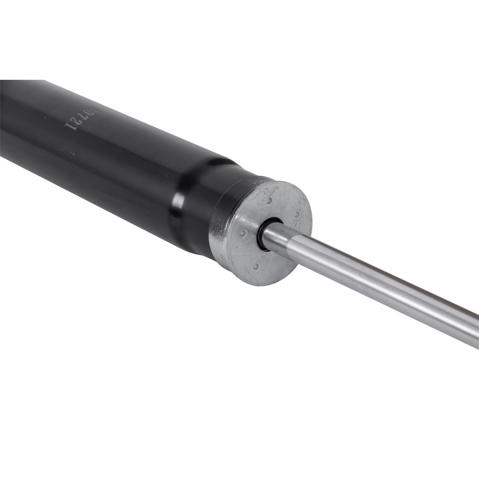 2PCS Rear Side Shock Absorbers Struct Assembly For 2012-2018 Ford Focus ...