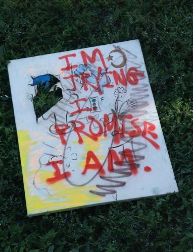 Evan Marnell I'm Trying I promise (Relié) | eBay