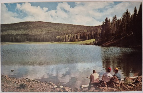 Vintage Postcard La Baron Lake Beaver Mountains Utah AA104 | eBay