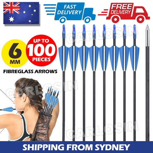 10-100 31" Fiberglass Arrows Archery Hunting Target Compound Bow Fiber ...