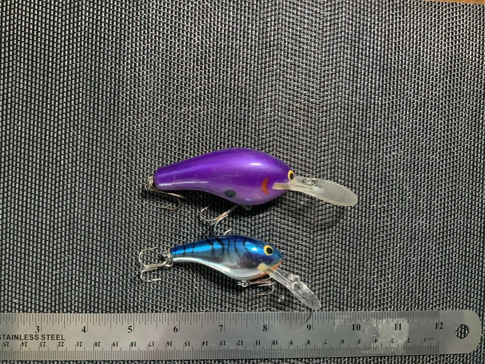 2 Bagley Wood Deep Diver Crankbaits Bass Fishing Lures | eBay