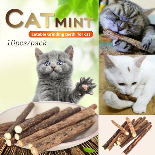 Natural Matatabi Polygama Catnip Chew Sticks for Kittens Pack of 10 ...