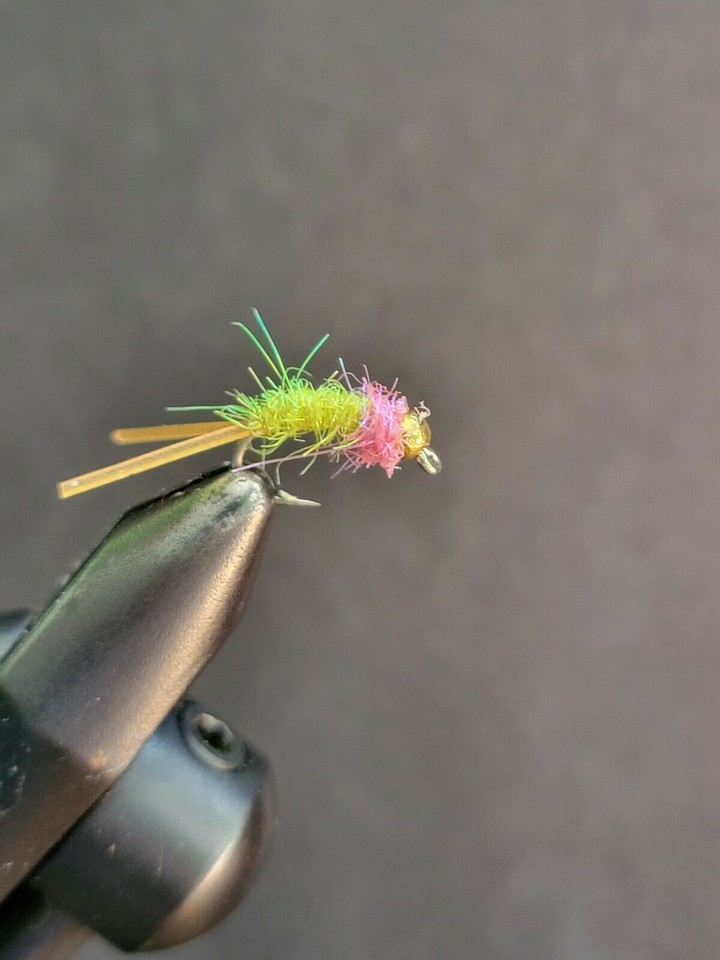 BH CHARTREUSE & PINK SCUD Nymph Fly Fishing Flies, 1 Fly, You Choose ...